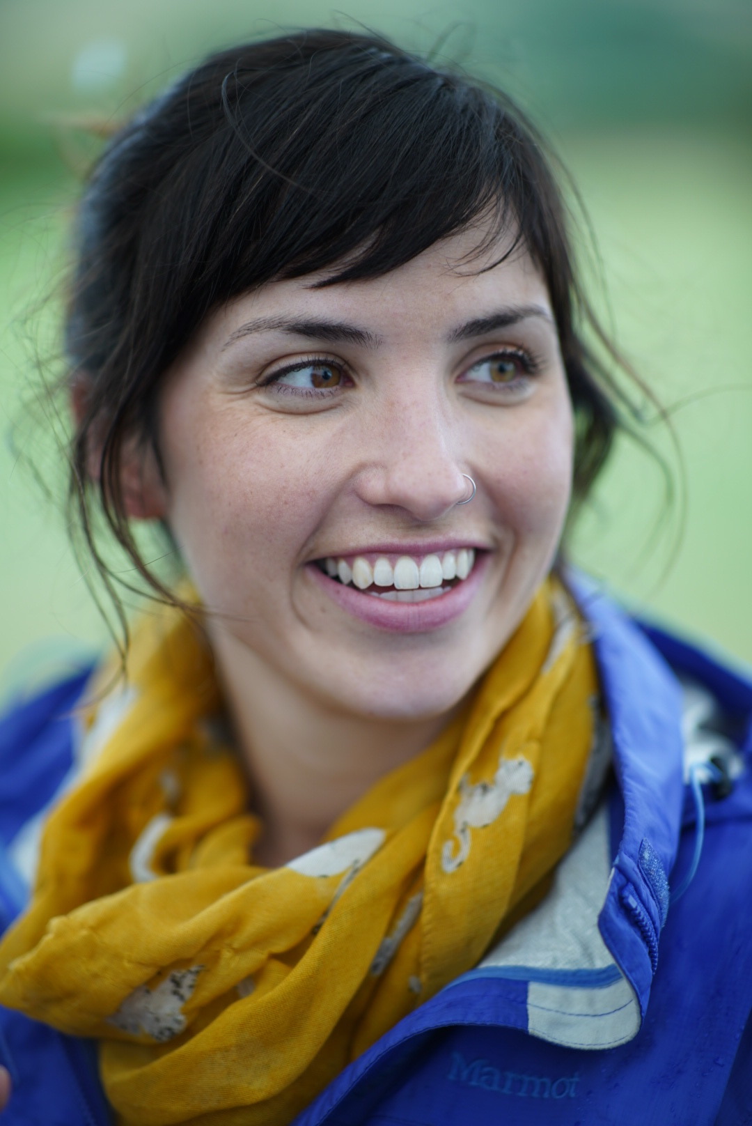 About - Molly Ferguson Art